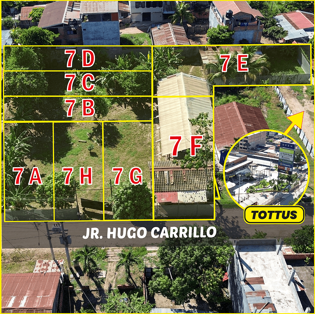 𝐎𝐂𝐀𝐒𝐈𝐎́𝐍, 𝐕𝐄𝐍𝐓𝐀 𝐃𝐄 𝐋𝐎𝐓𝐄𝐒 𝐀 𝐄𝐒𝐏𝐀𝐋𝐃𝐀𝐒 𝐃𝐄 𝐎𝐏𝐄𝐍 𝐏𝐋𝐀𝐙𝐀🚨 | Doris Castilla